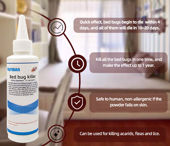 Bed Bug Killer