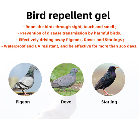 Bird Repellent Gel