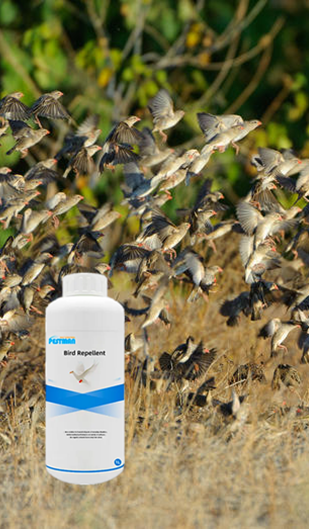 Pestman Bird Repellent: Protect Crops From Quelea Birds With Pesticide ...