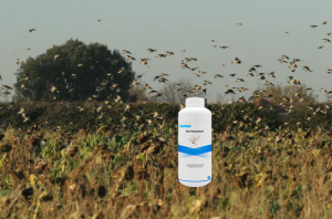 Pestman Bird Repellent: New Crop Protection Solutions For African ...