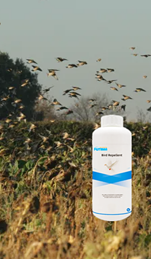 Pestman Bird Repellent: Protect Crops From Quelea Birds With Pesticide ...